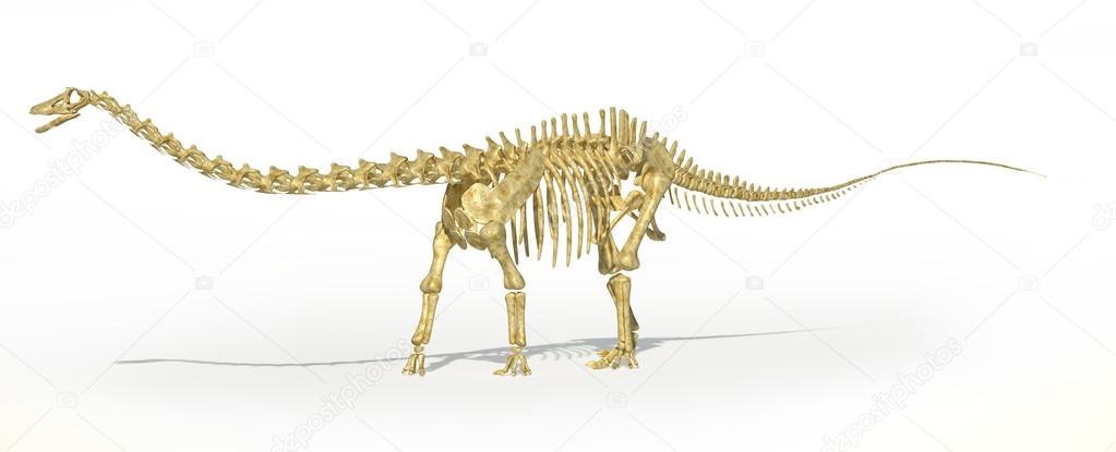 Diplodocus dinosaur full skeleton photo-realistc rendering. Pers Stock ...