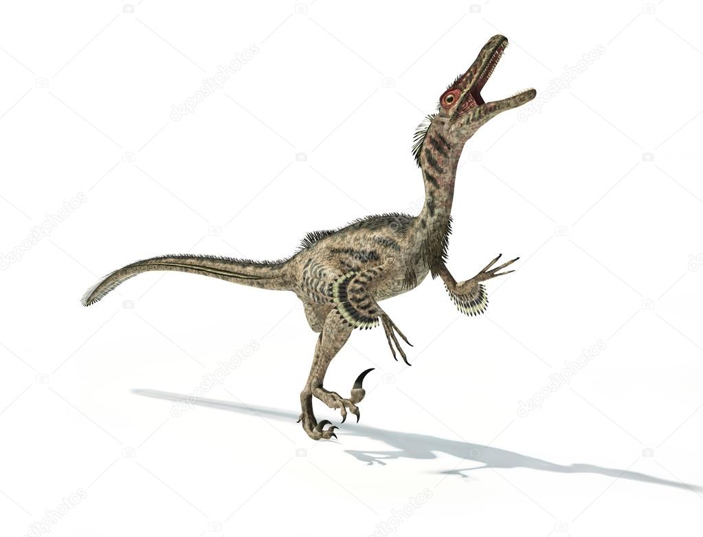 Dinosaurio Velociraptor, científicamente correcto, con plumas. 2022