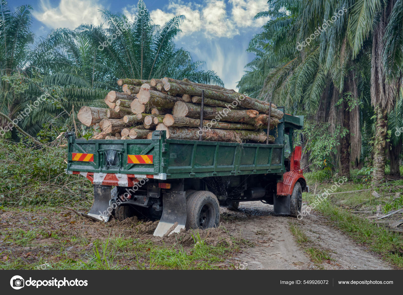 Old Lorry Carrying Load Rubber Logs Woods Transported Saw Mill Stock ...