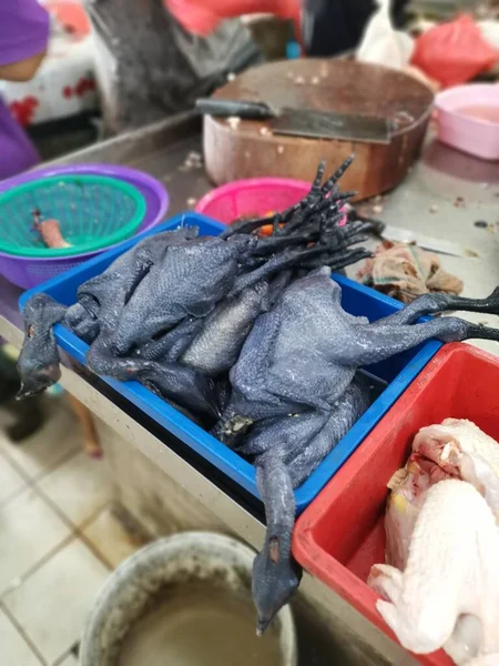 Galinha abatida Stock Photos, Royalty Free Galinha abatida Images ...