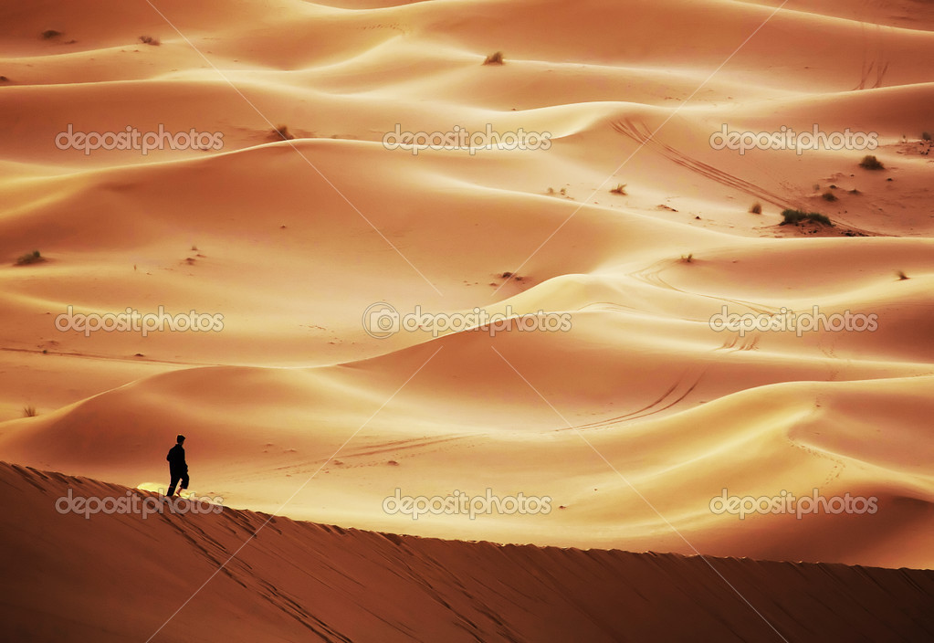 Sahara Desert Sunrise
