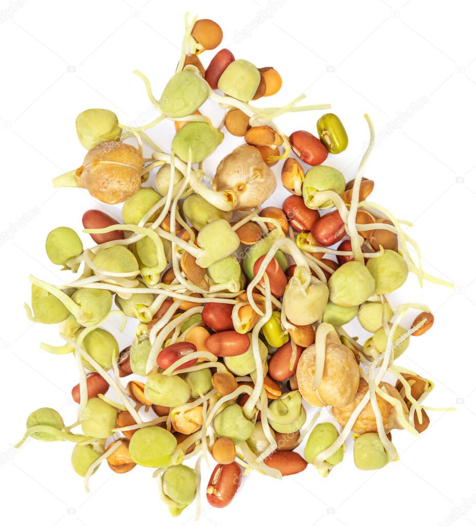 Brotes de frijol aislados sobre fondo blanco. Primavera Moong o mung ...