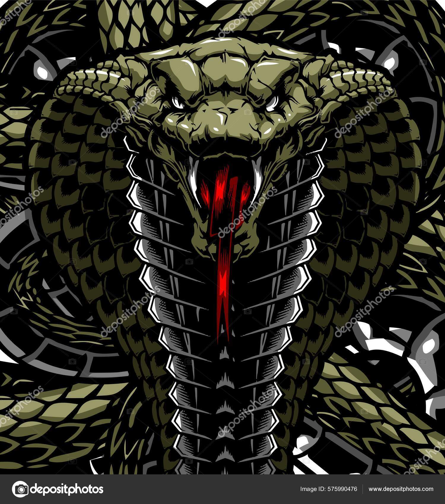 King Cobra Wallpaper Hd King Cobra Free Stock Photos, Images, And