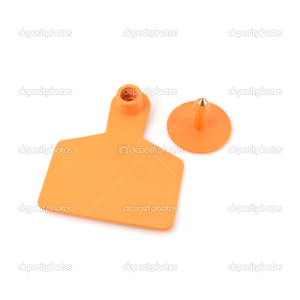 Ear Tags for Farm Animals — Stock Photo © rakijung #48541449