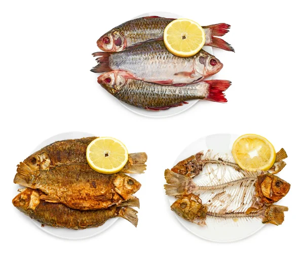 Fish bones Stock Photos, Royalty Free Fish bones Images | Depositphotos