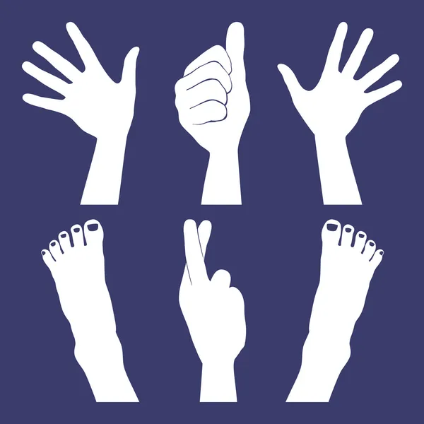 Six fingers hand, Royalty-free Six fingers hand Vector Images ...