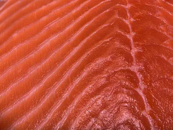 Salmon underwater Stock Photos, Royalty Free Salmon underwater Images ...