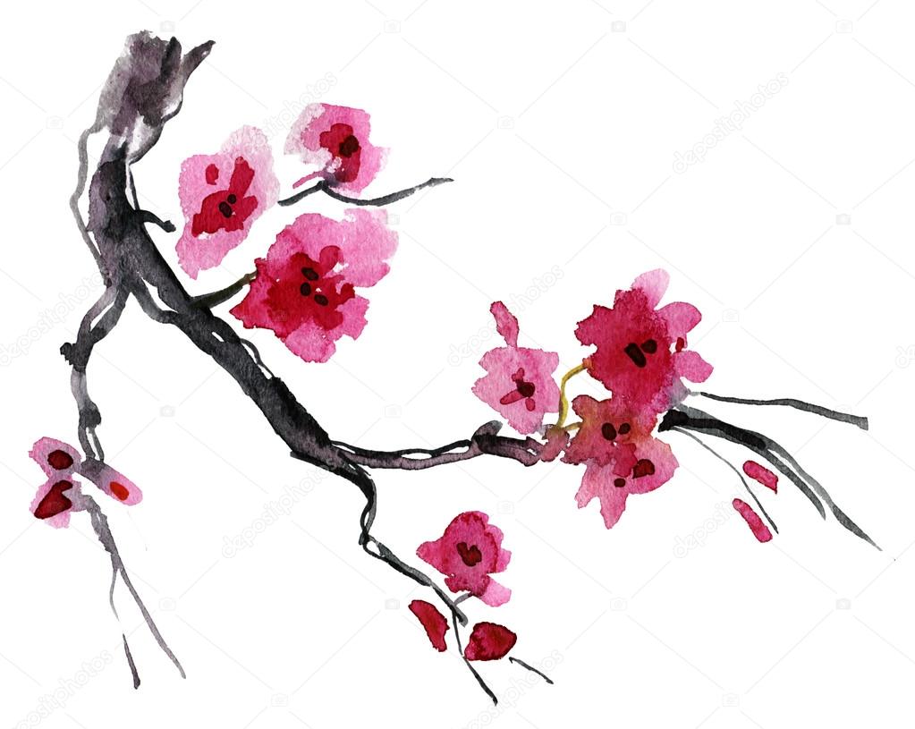 Realistic sakura blossom Stock Illustration by ©olies #39972915