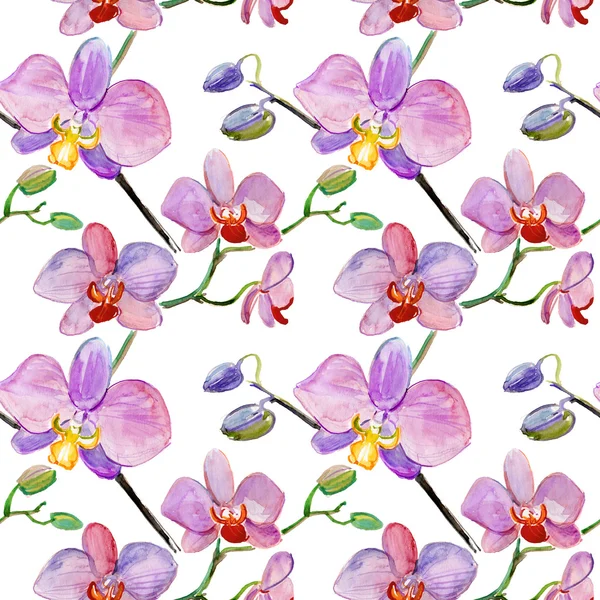 Orchid flowers and leaves Stock Photo by ©olies 43346159