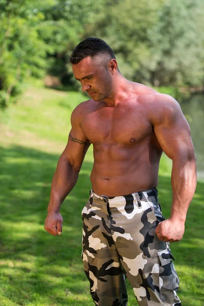 Park bodybuilding Stock Photos, Royalty Free Park bodybuilding Images ...