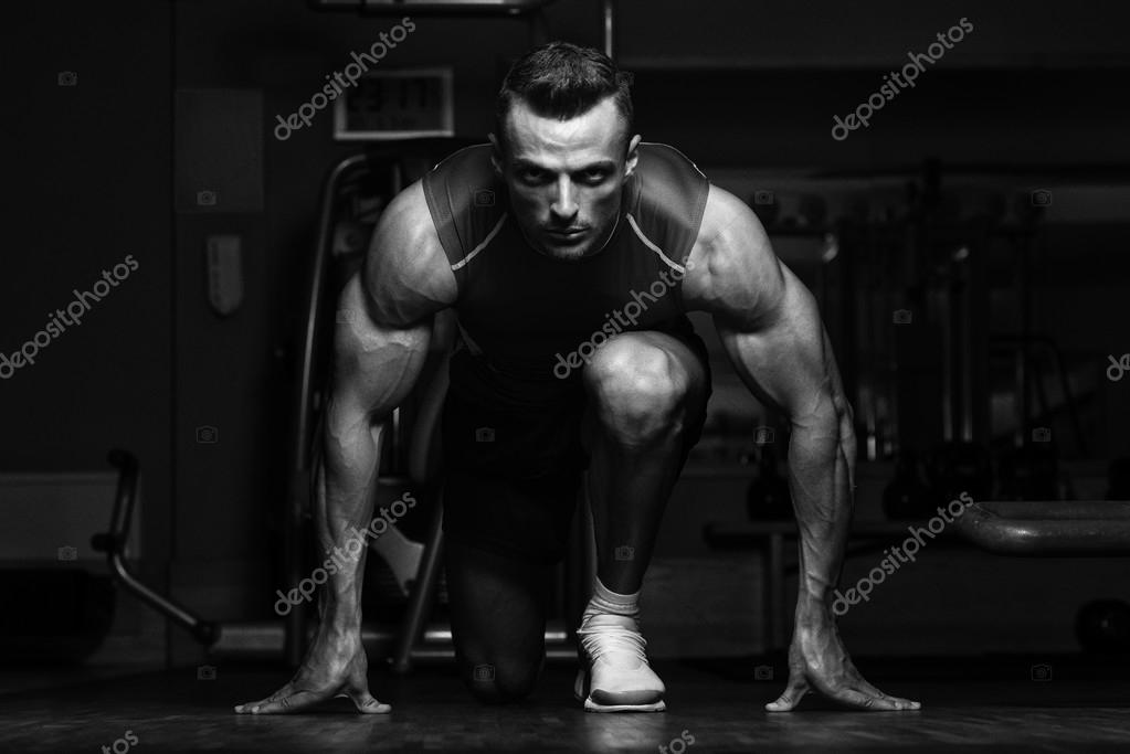 Survival Of The Fittest Stock Photo by ©ibrak 47291341 Survival Of The Fittest Stock Photo by ©ibrak 47291341