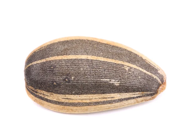 Big seed Stock Photos, Royalty Free Big seed Images | Depositphotos