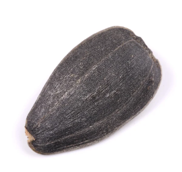 One seed Stock Photos, Royalty Free One seed Images | Depositphotos