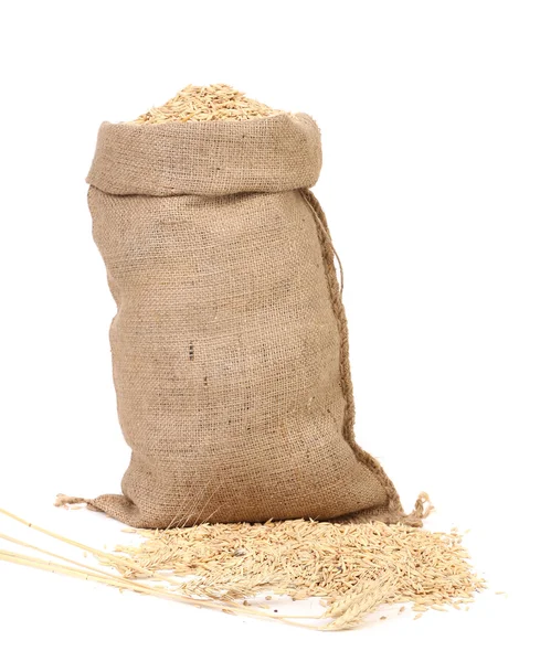 Bag with wheat grain — Stock Photo © Alexan66 #12629136