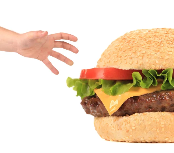 Hand holding hamburger Stock Photos, Royalty Free Hand holding ...