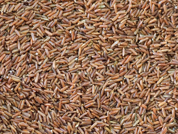 Hot season grass seed Stock Photos, Royalty Free Hot season grass seed ...