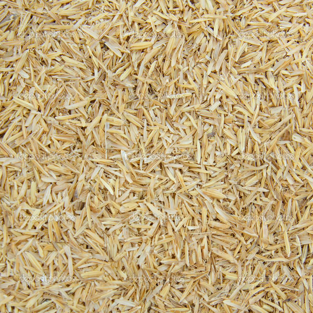 Rice husk Stock Photo by ©oilchai 48202131