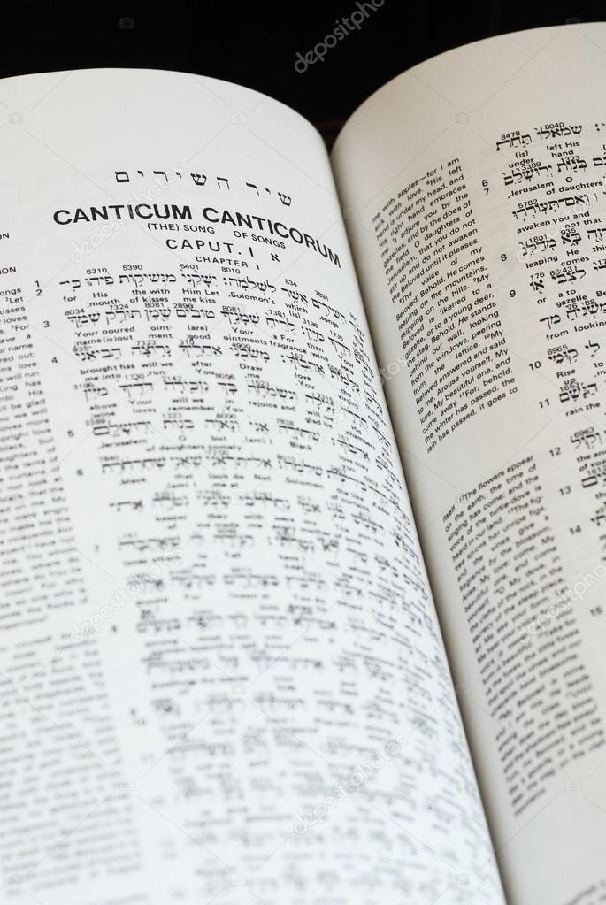 Close-up of the interlinear Bible — Stock Photo © MKucova #26771497