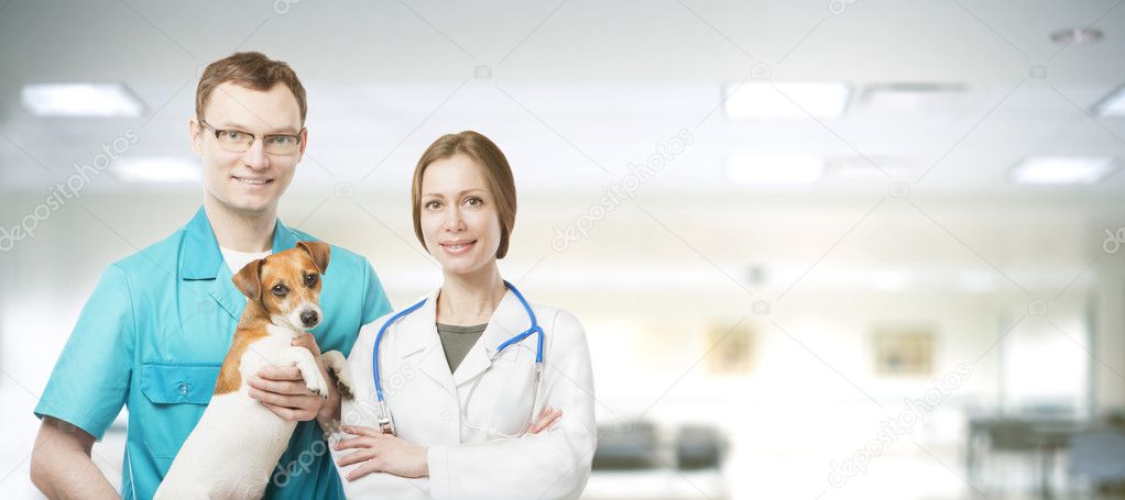 Vet workers team Stock Photo by ©Flydragonfly 43539219