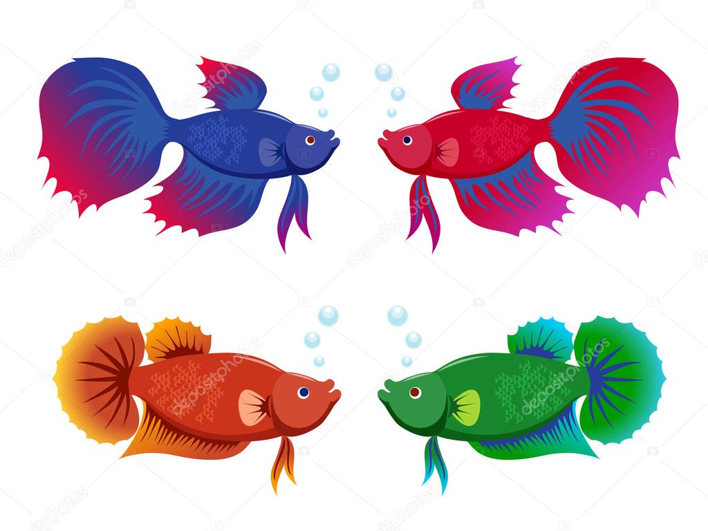 Fighting fishes Stock Vector Image by ©sararoom #42581127