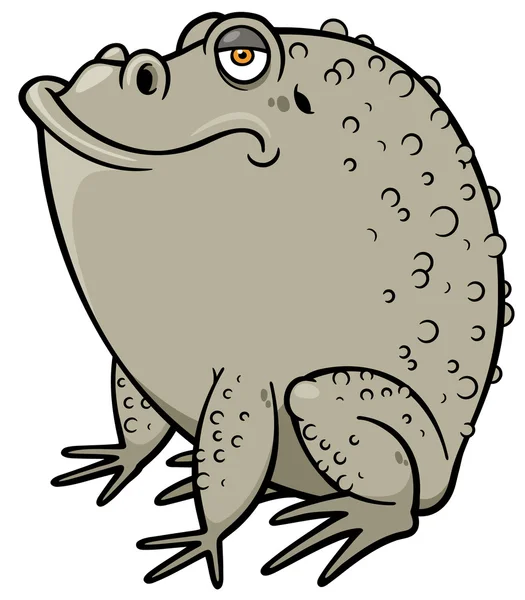 Kreslená zelená žába Stock Vector od © sararoom 45156303