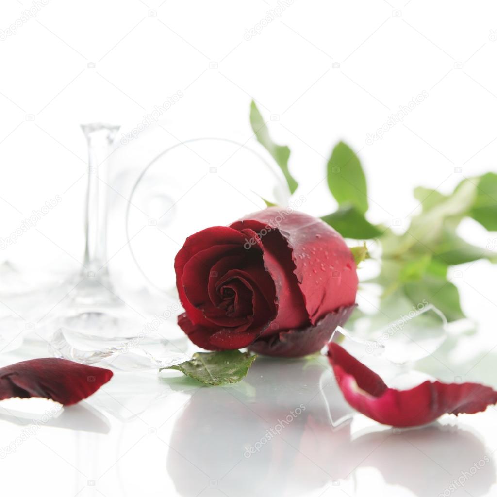 Red rose and broken glass of wine on white background Stock Photo by ...