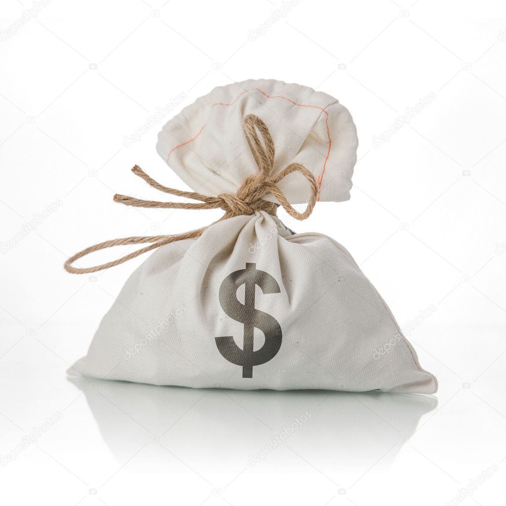 Dollar Money Bag — Stock Photo © Naypong #30528079