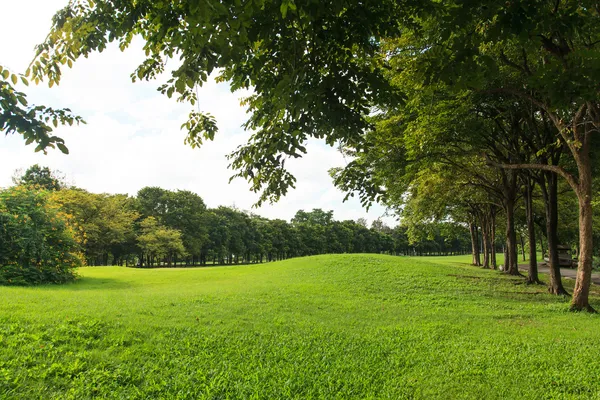 City park with green grass field Stock Photo by ©benedixs 94051834