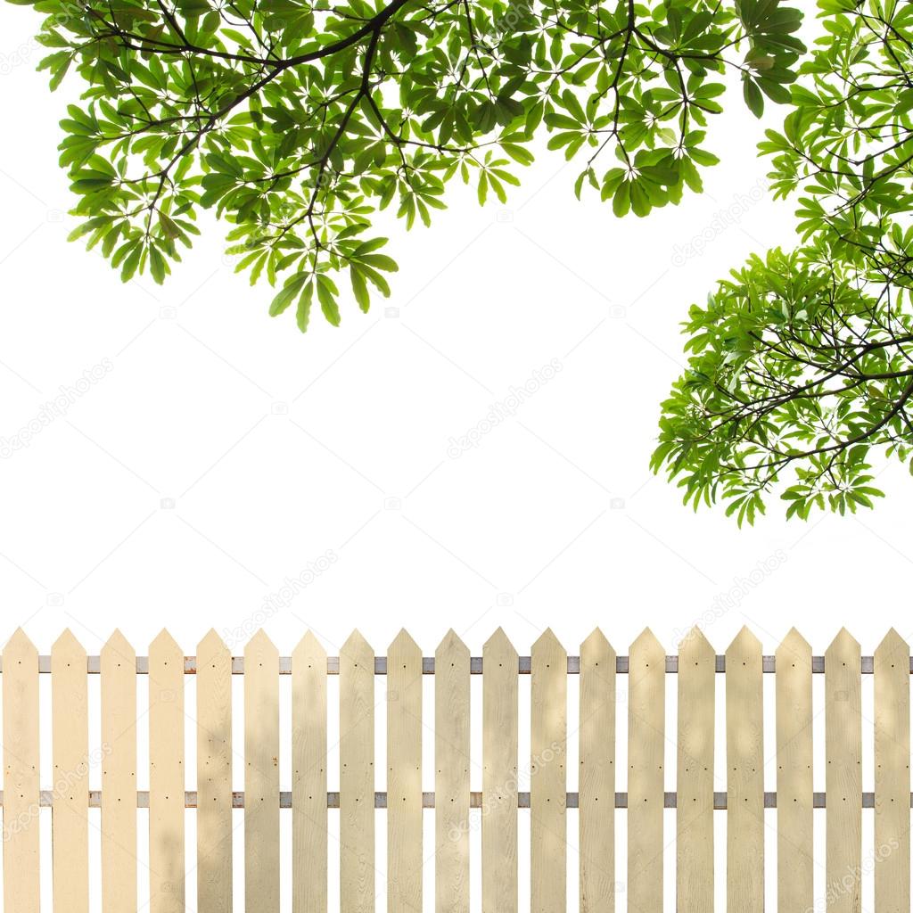 White fences Stock Photo by ©Naypong 38822359