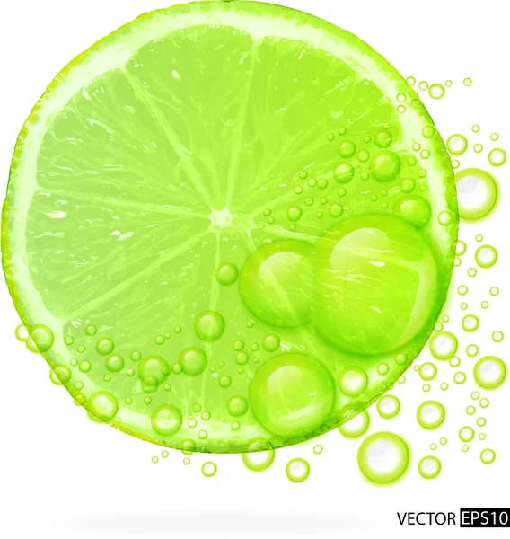 Lime splash Stock Vectors, Royalty Free Lime splash Illustrations ...