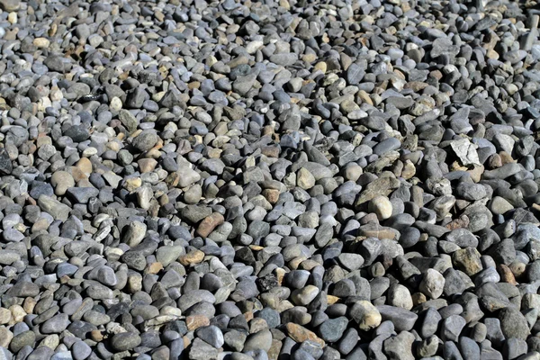 Stenarna stranden Stock Photos, Royalty Free Stenarna stranden Images ...