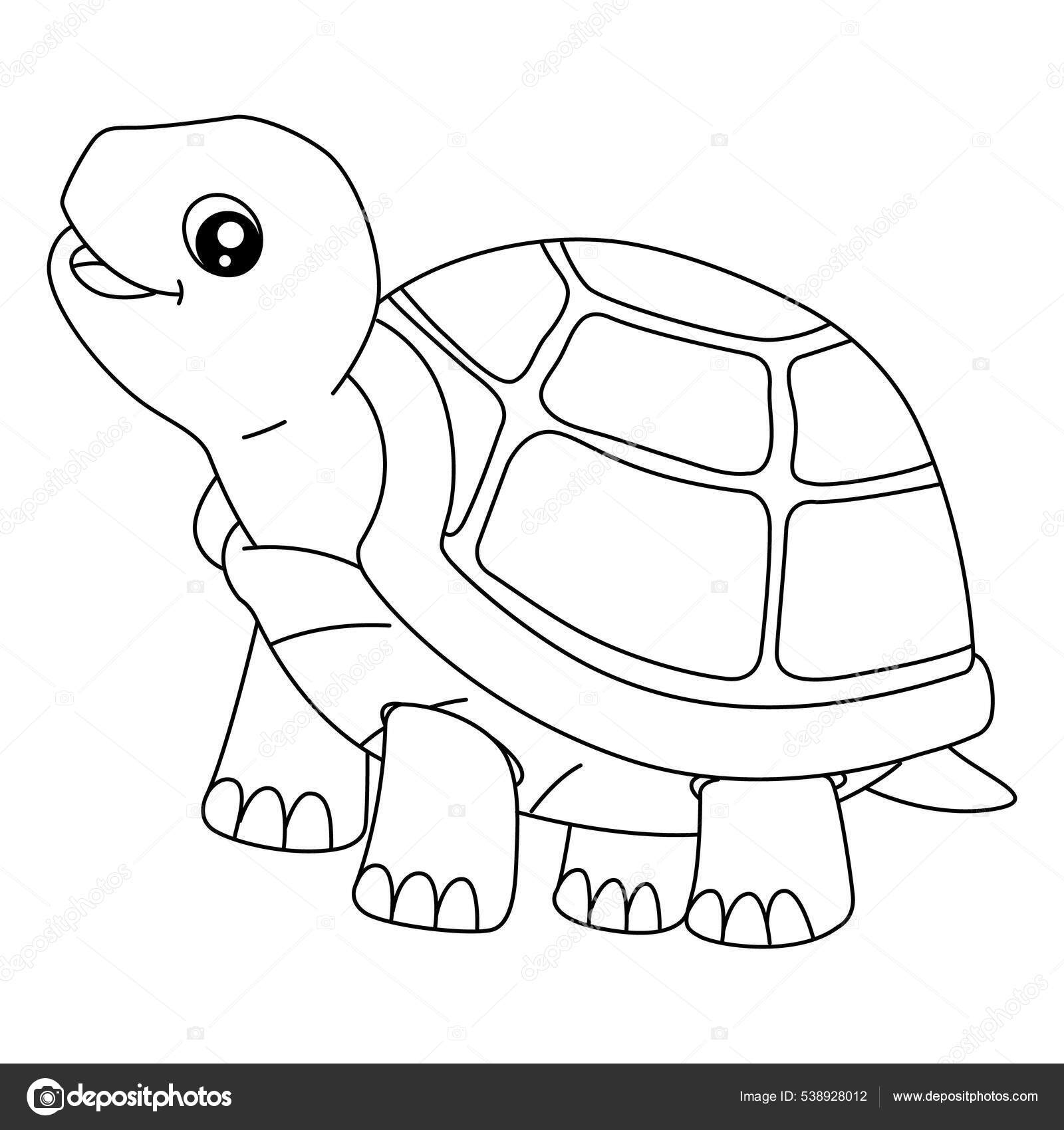 아이들을 위한 거북이 색칠 페이지 1600x1137