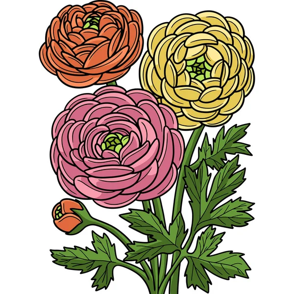 49,738,362 Ranunculus Vector Images | Depositphotos