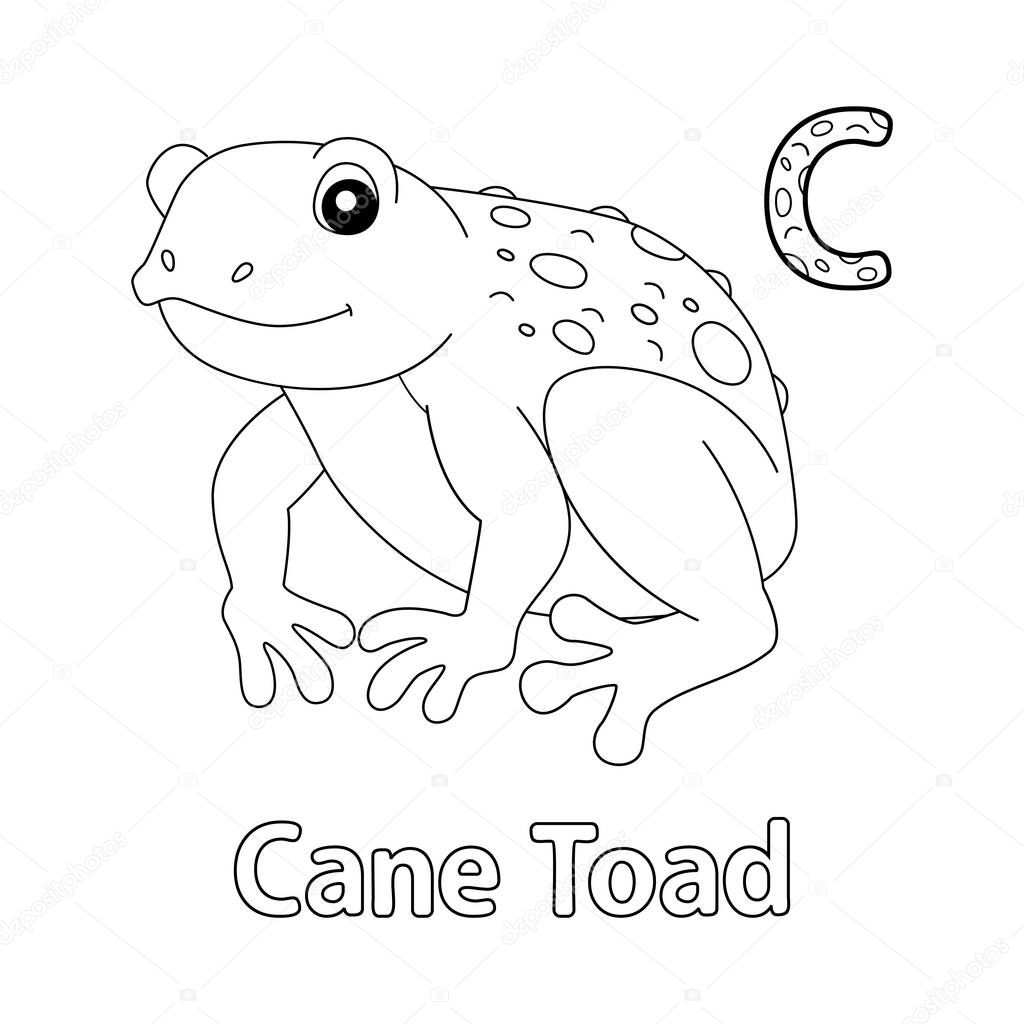 This ABC vector image shows a cane toad coloring page. It is isolated ...