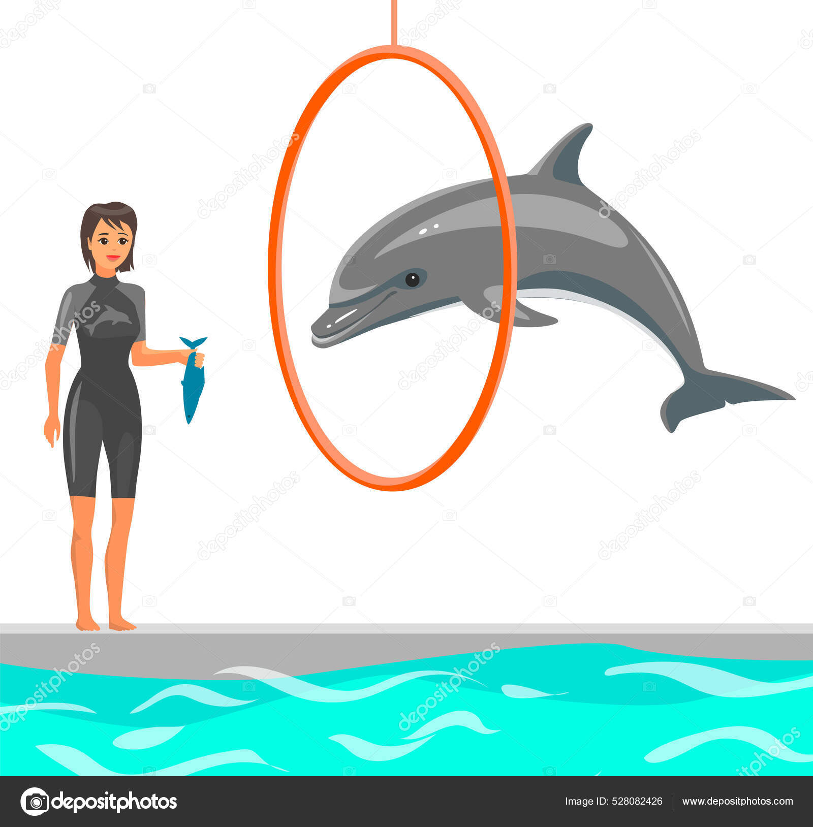 Training, show with marine animals in dolphinarium. Dolphin shows trick ...