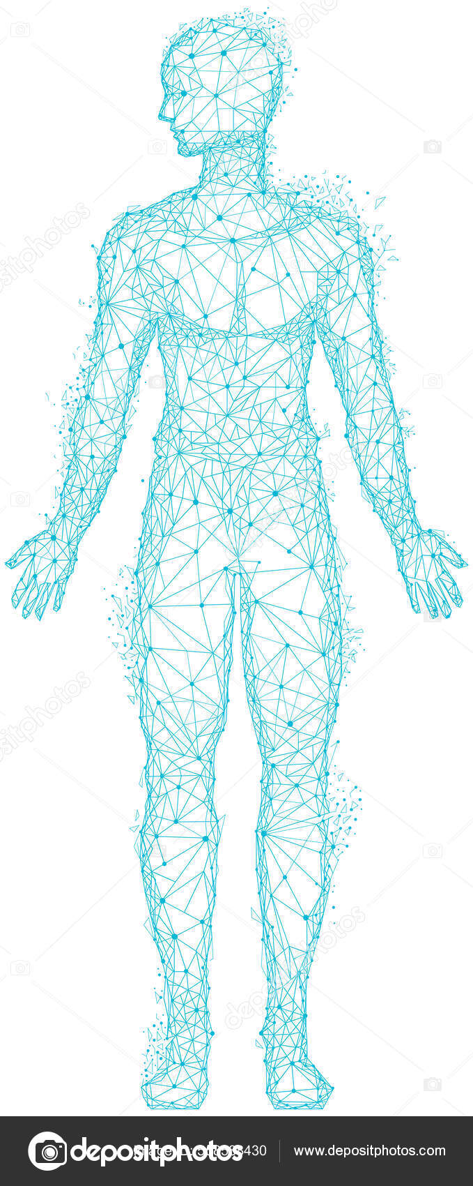 Cuerpo humano poligonal con cabeza y extremidades. Esquema geométrico ...