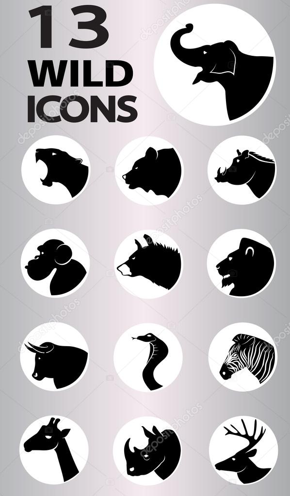 Wild icons collection — Stock Vector © esancai #49052721
