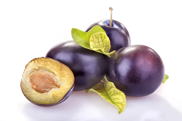 Plums on a white background — Stock Photo © Valentyn_Volkov #4297678