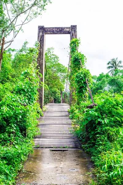 Old wooden long rope bridge cross the stream - Stock Image - Everypixel