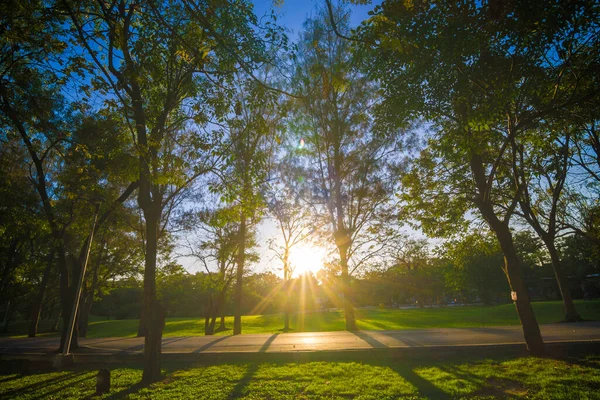Park sunlight Stock Photos, Royalty Free Park sunlight Images ...