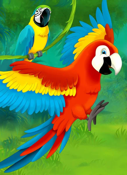 Parrot cartoon Stock Photos, Royalty Free Parrot cartoon Images ...