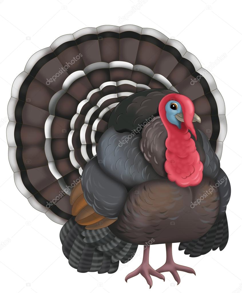 Cartoon turkey Stock Illustration by ©agaes8080 #38627573