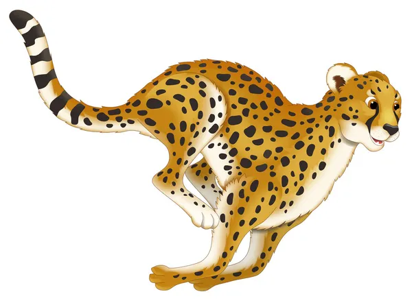 Cartoon Sketch Scene Cheetah White Background Illustration Children ...