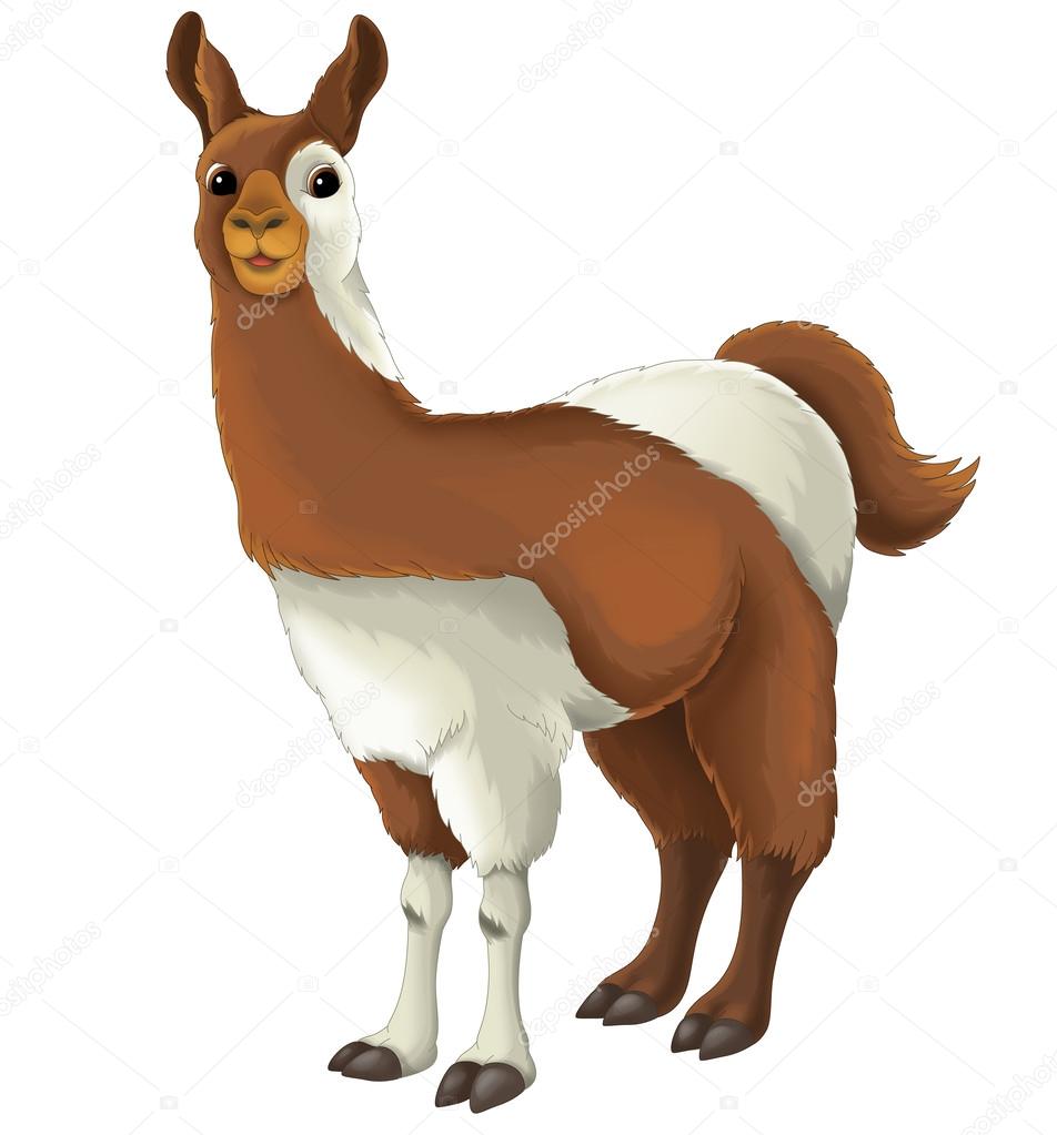 Lama de dibujos animados 2022