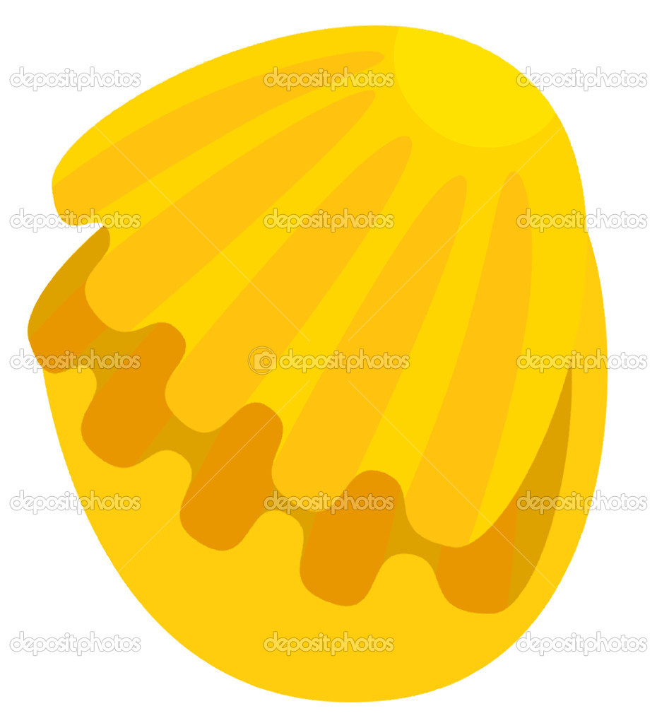 Yellow shell Stock Illustration by ©agaes8080 #43458349