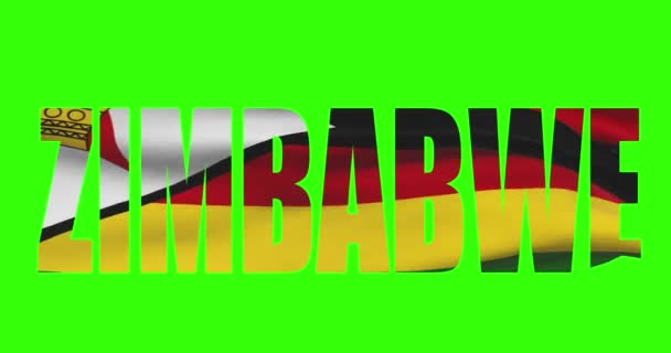 117,259 Country flag Videos, Royalty-free Stock Country flag Footage ...