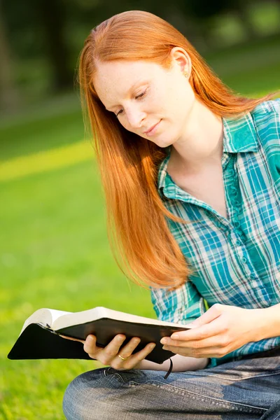A Woman Reading a Bible - Stock Image - Everypixel