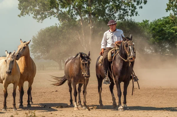 Gaucho Stock Photos, Royalty Free Gaucho Images | Depositphotos