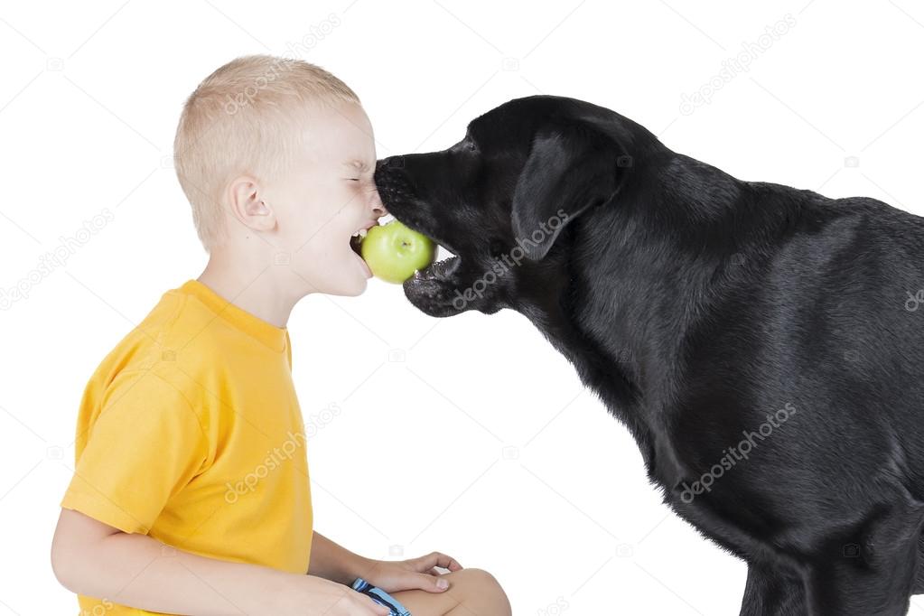 A child and a dog bite an Apple — Stock Photo © vivienstocks #30546549