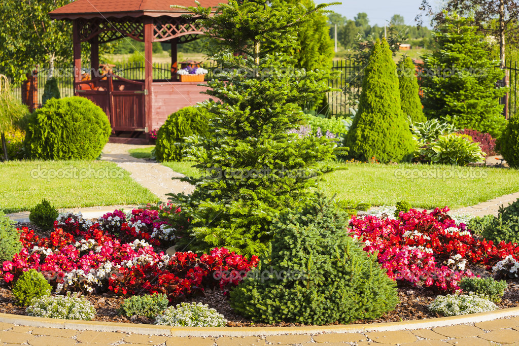 Keře v parku. — Stock Fotografie © Gashgeron #49401765